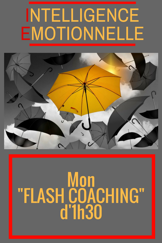 Flash coaching d'1h30 pour gagner en apaisement émotionnel - Humain Digital